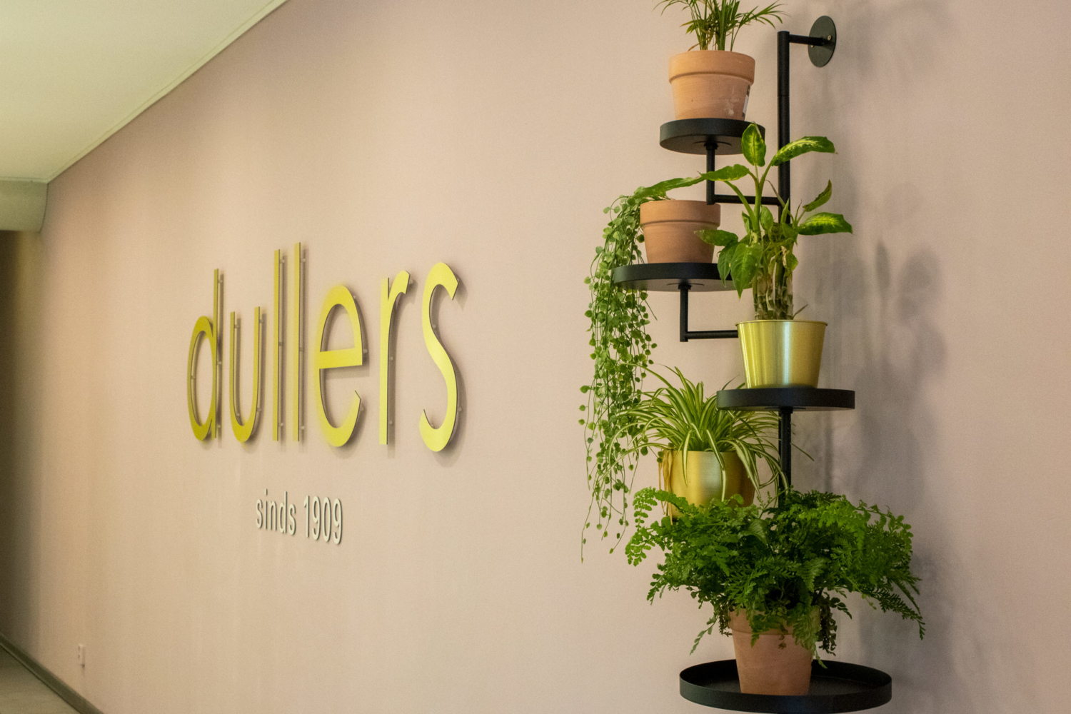 Dullers